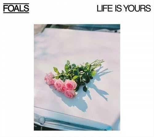 Foals - Life Is Yours