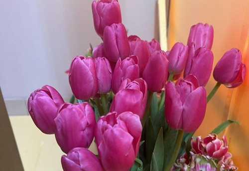 Тюльпаны на 8 марта от 50 шт