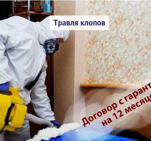 Уничтожение клопов тараканов грызунов