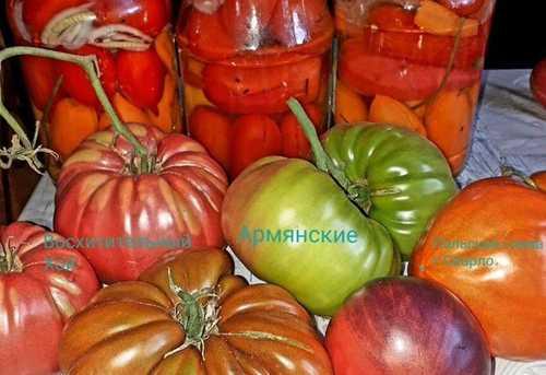 Семена коллекционных томатов #2