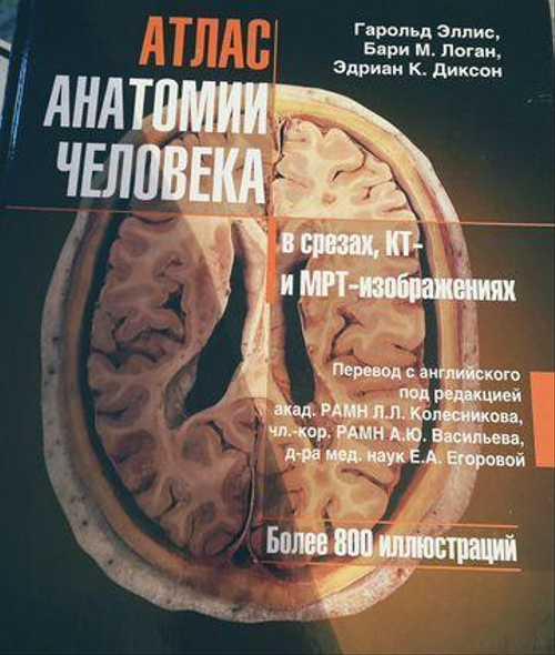 Атлас анатомии человека в срезах кт и мрт изображениях