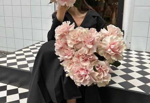 Французские розы букет цветов
