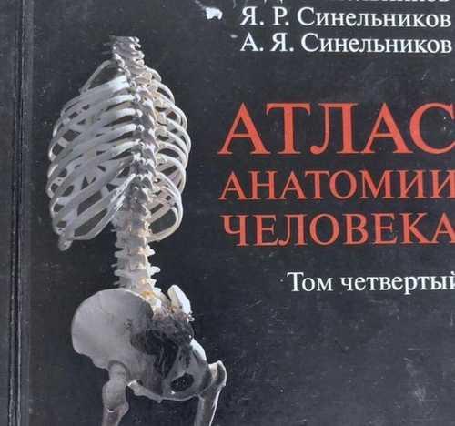 Атлас анатомии человека
