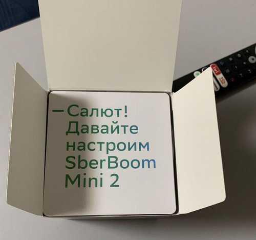 Умная колонка Snerboom mini 2