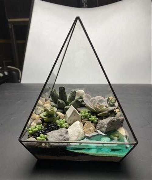 Флорариум Финансовая пирамида аква
