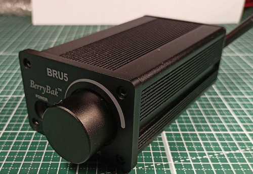 Усилитель BerryBak BRU5 (TPA3255 c DSP)