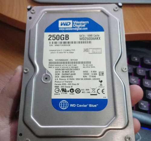 Бу жеский диск Western Digital