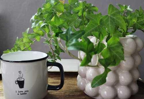 Чашка hm home