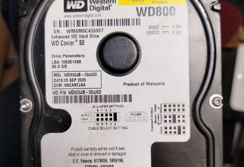 Жесткий диск Western Digital WD800 80Gb