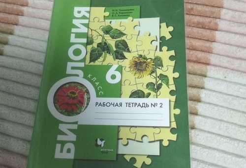 Тетрадь в школу