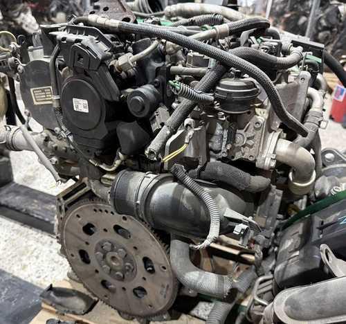 Двигатель Z22D1 Chevrolet Captiva 2.2 Контракт