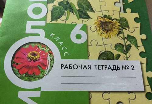 Рабочая тетрадь по биологии 6 класс