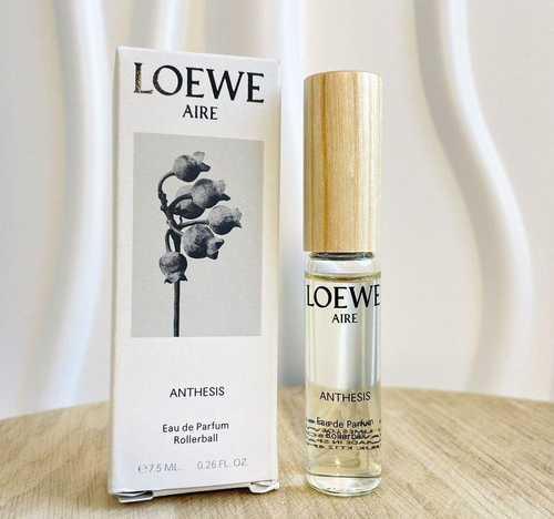 Loewe aire anthesis