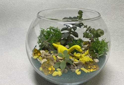 Флорариум с суккулентами в вазе-сфере