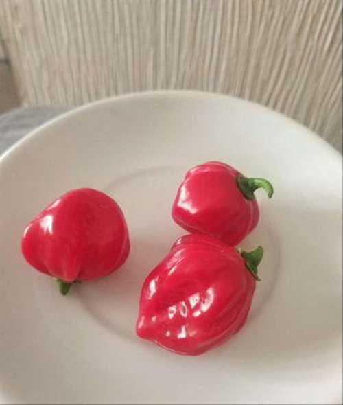 Горький перец