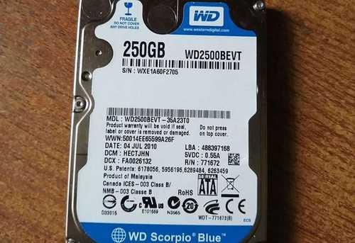 Жесткий диск WD Blue 250 гб