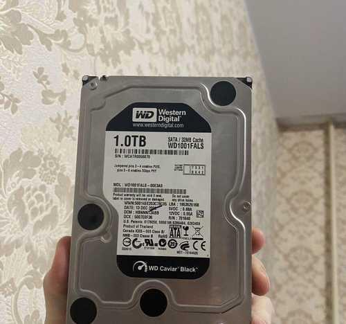 Жесткий диск wd black 1tb