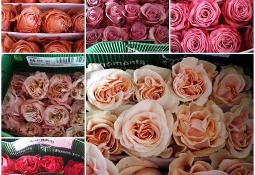 Живые цветы букеты розы оптом