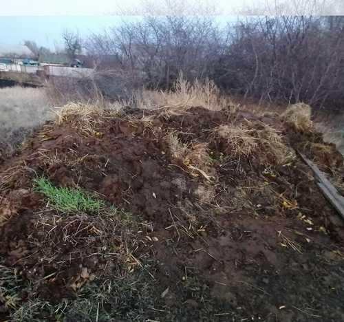 Навоз отдам