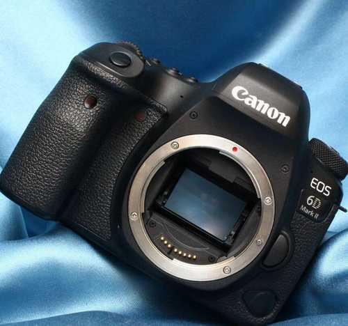 Canon EOS 6D mark II Body(пробег 77000)