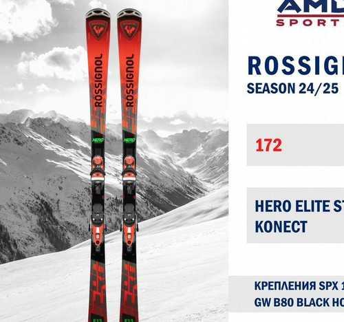 Горные лыжи Rossignol Elite 172 (24/25)   SPX 14