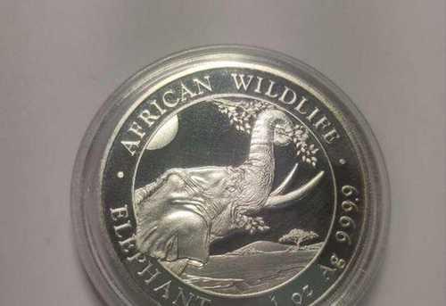 Монета Слон Сомали 1 унция 2022