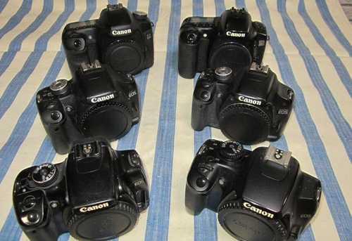 Фотоаппараты Canon