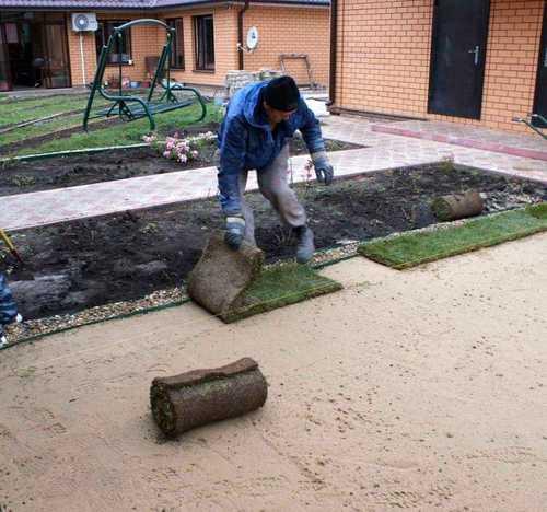 Укладка рулонных газонов под ключ