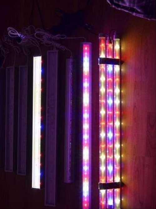 Фитосветильник LED биколор и полный спектр