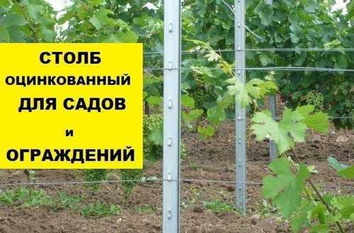 Столб шпалерный для винограда