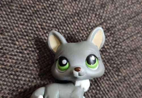 Littlest Pet Shop корги 367