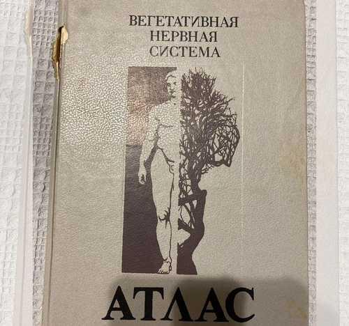 Вегетативная нервная система. Атлас
