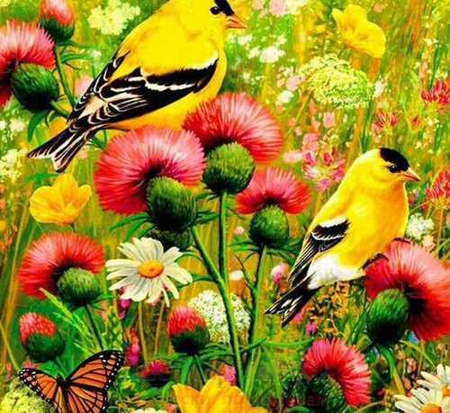 Алмазная мозаика 21x25 Желтые птицы в цветах