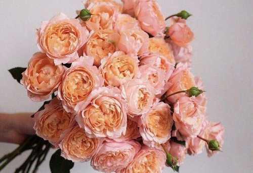 Пионовидные розы, кустовые розы, доставка цветов