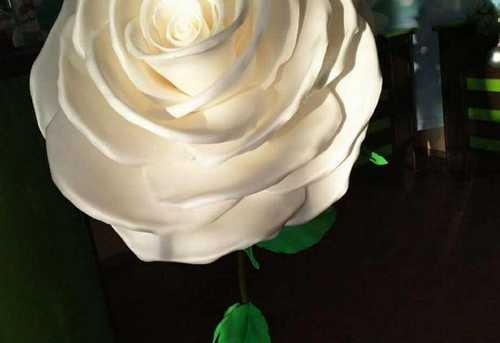 Ростовая роза для интерьера, цвет белый. но можно