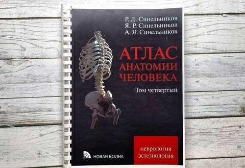 Атлас анатомии человека Синельников том 4