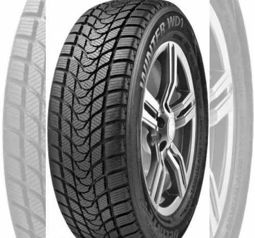 Delinte Winter WD1 195/55 R15 85H