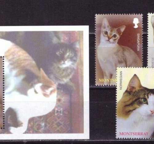 Монтсеррат, 2004. Фауна, кошки (серия блок)