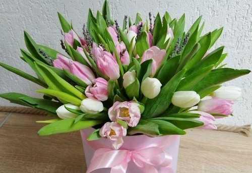 Букет из 51 белого и розового тюльпана с лавандой