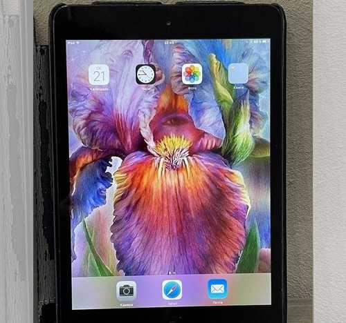 iPad mini (16)
