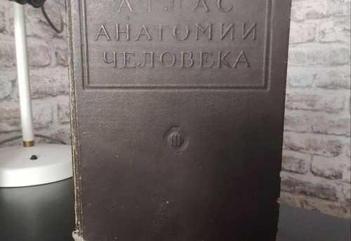 Атлас анатомии человека В. П. Воробьев, Р. Д. С