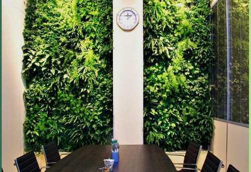 Природное равновесие: стены из растений. Арт: 2154