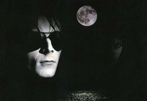 Виниловая пластинка WM The Sisters Of Mercy Floodl