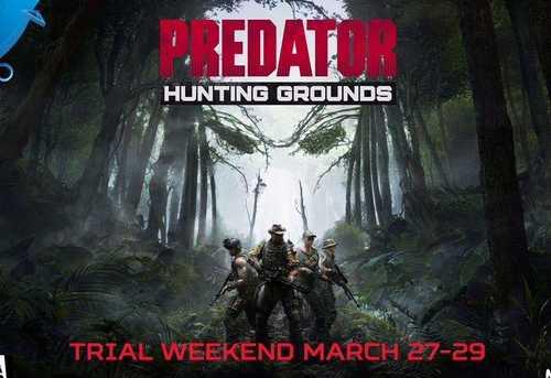 Predator: Hunting Grounds PS4/PS5