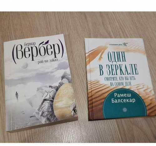 Книга Рай на заказ (Бернар Вербер), Один в зеркале