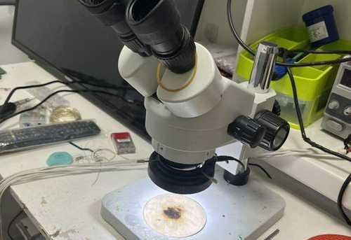 Бинокулярный Стереоскопический Микроскоп
