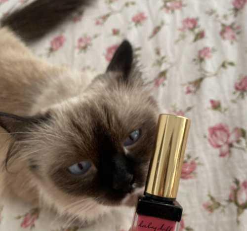 Ysl румяна baby doll