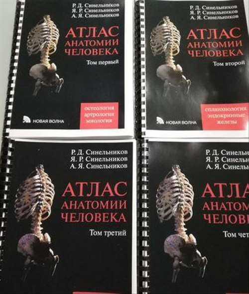 Синельников р.д. - атлас анатомии человека (1 том) - 2009. Атлас анатомии человека Синельников 1989 в 2 томах. Атлас анатомии человека Синельников. Атлас анатомии человека Синельников 1 том.