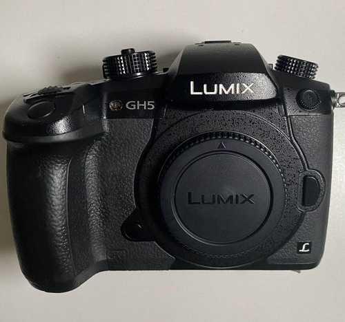 Panasonic lumix gh5