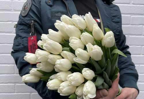 Тюльпан белый оптом, цветы